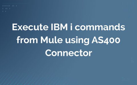 IBM i (AS/400) Archives - Infoview Systems Inc.